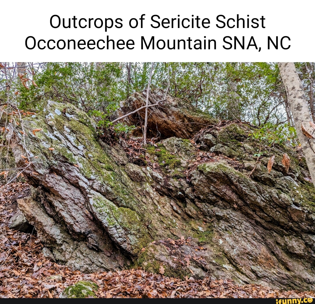 Schist memes. Best Collection of funny Schist pictures on iFunny