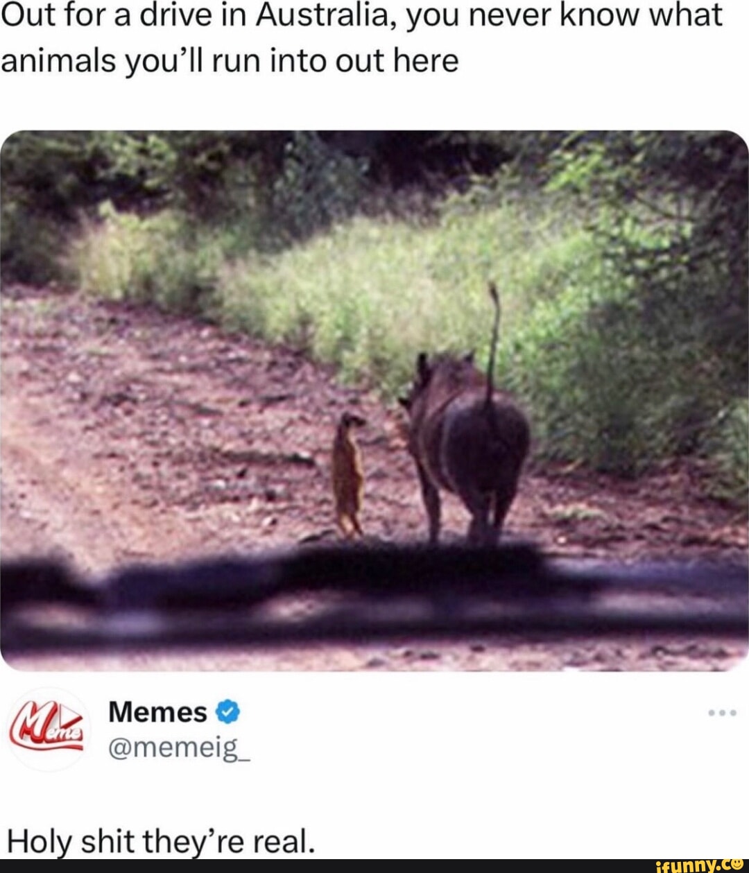 Ight bet.... - iFunny