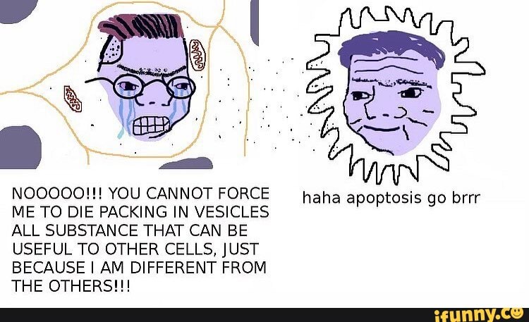 Apoptosis memes. Best Collection of funny Apoptosis pictures on iFunny
