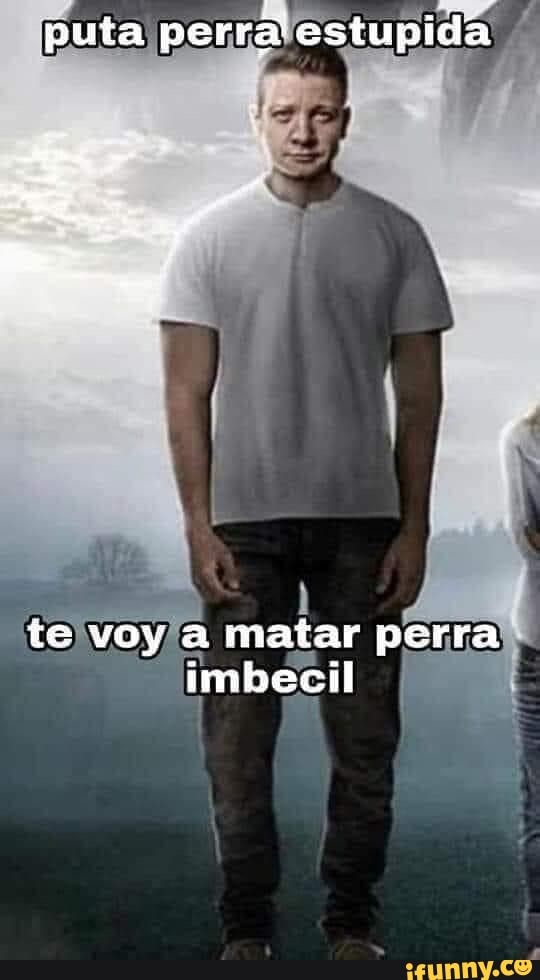 Estupida memes. Best Collection of funny Estupida pictures on iFunny