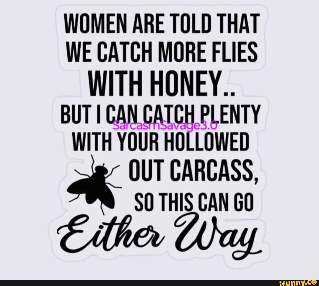 WOMEN ARE TOLD THAT WE CATCH MORE FLIES WITH HONEY. BUT I CAN .CATCH ...