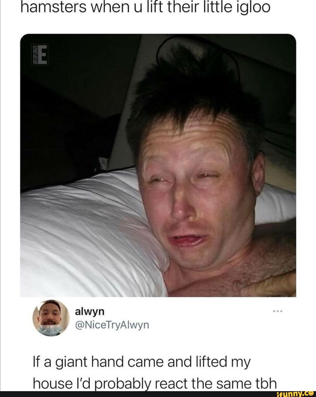 Igloo memes. Best Collection of funny Igloo pictures on iFunny