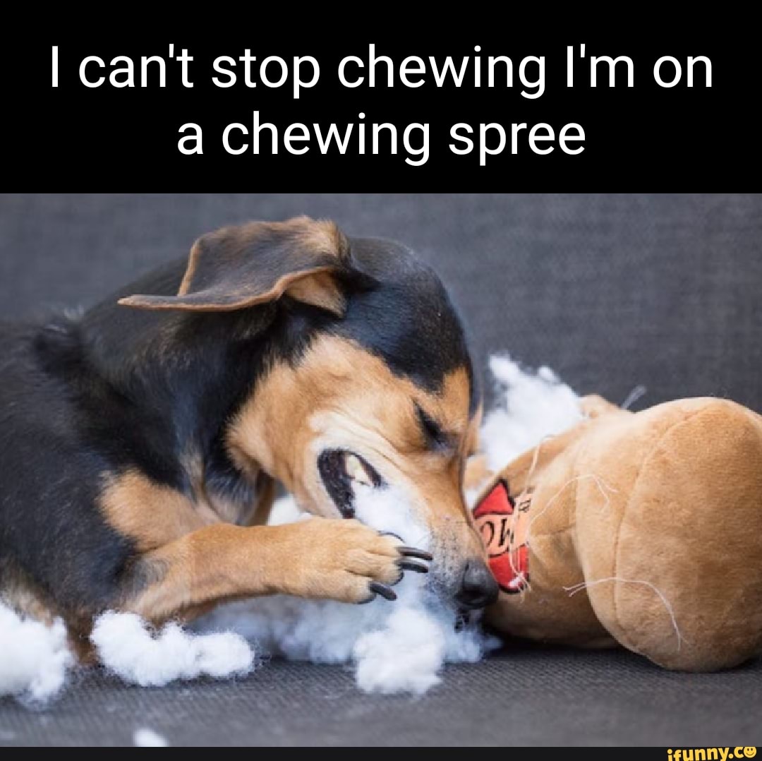 Chewingspree memes. Best Collection of funny Chewingspree pictures on ...