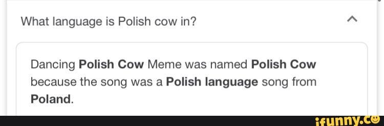 What language is Polish cow in? Dancing Polish Cow Meme was named ...