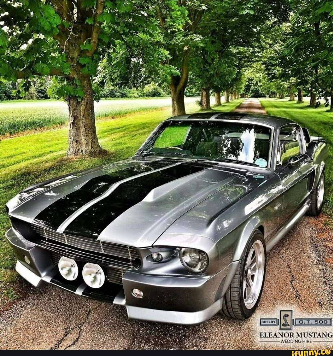 Eleanor Mustang Memes MUSTANG OWNERS CLUB Good Morning World