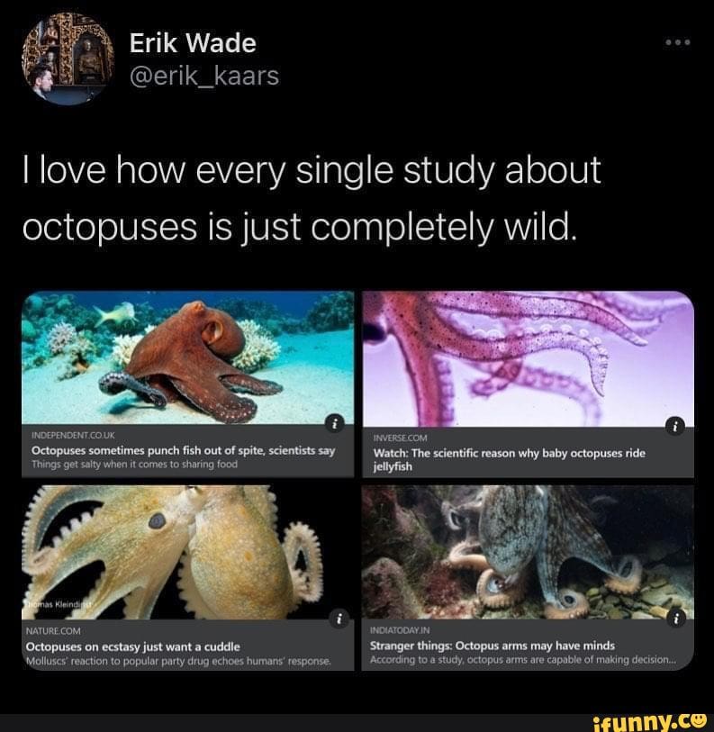 The Return of the Meme (vol. 306) - & Erik Wade @erik_kaars I love how ...