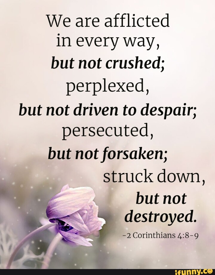 Perplexed memes. Best Collection of funny Perplexed pictures on iFunny