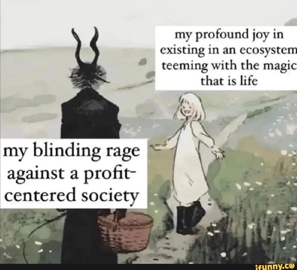 Blinding memes. Best Collection of funny Blinding pictures on iFunny