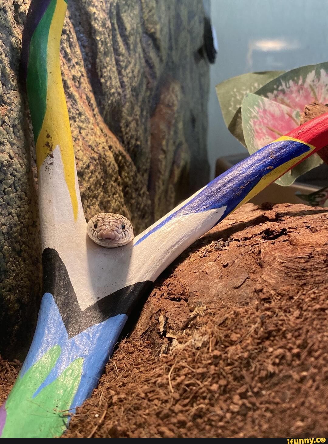 Wake_up_potta_we_going_to_the_zoo memes. Best Collection of funny Wake ...