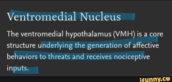 Ventromedial Nucleus The ventromedial hypothalamus (VMH) is a core ...
