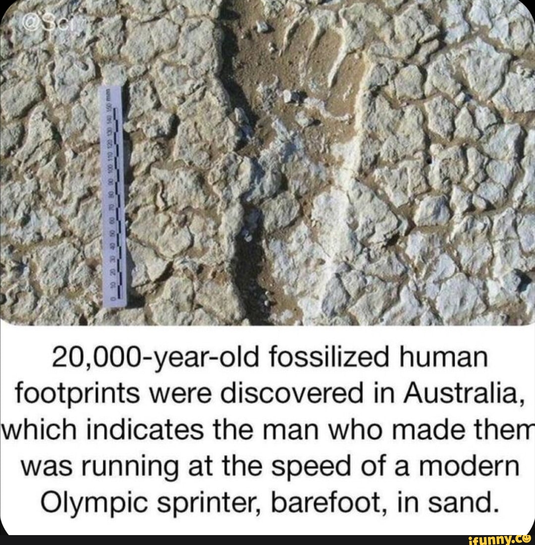 20,000-year-old fossilized human footprints were discovered in ...
