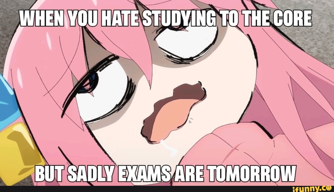 I Hate Exams For Girls