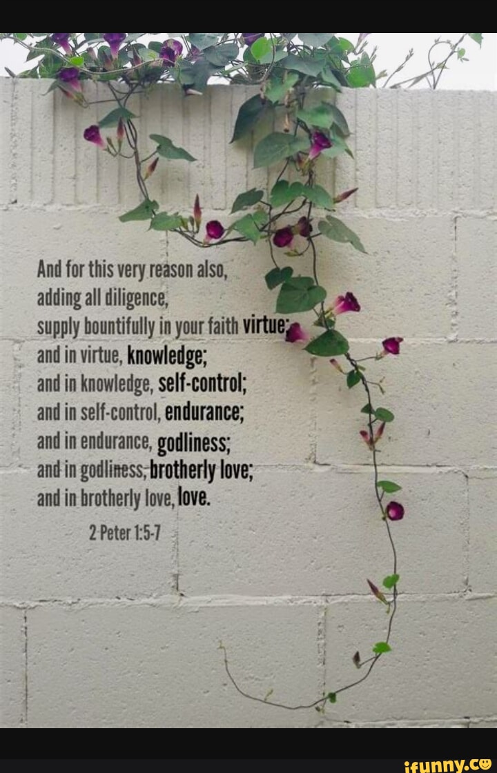 Diligence memes. Best Collection of funny Diligence pictures on iFunny