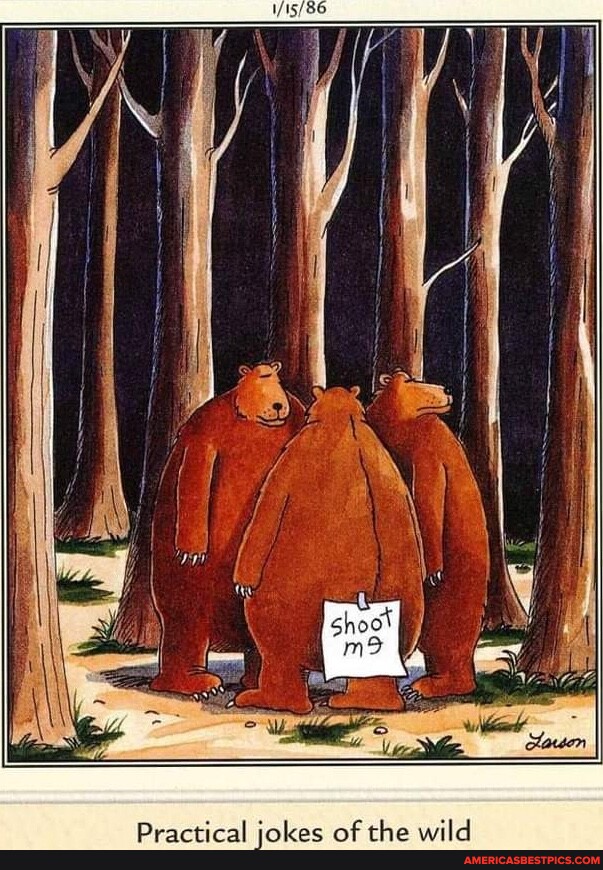 Practical jokes of the wild - America’s best pics and videos