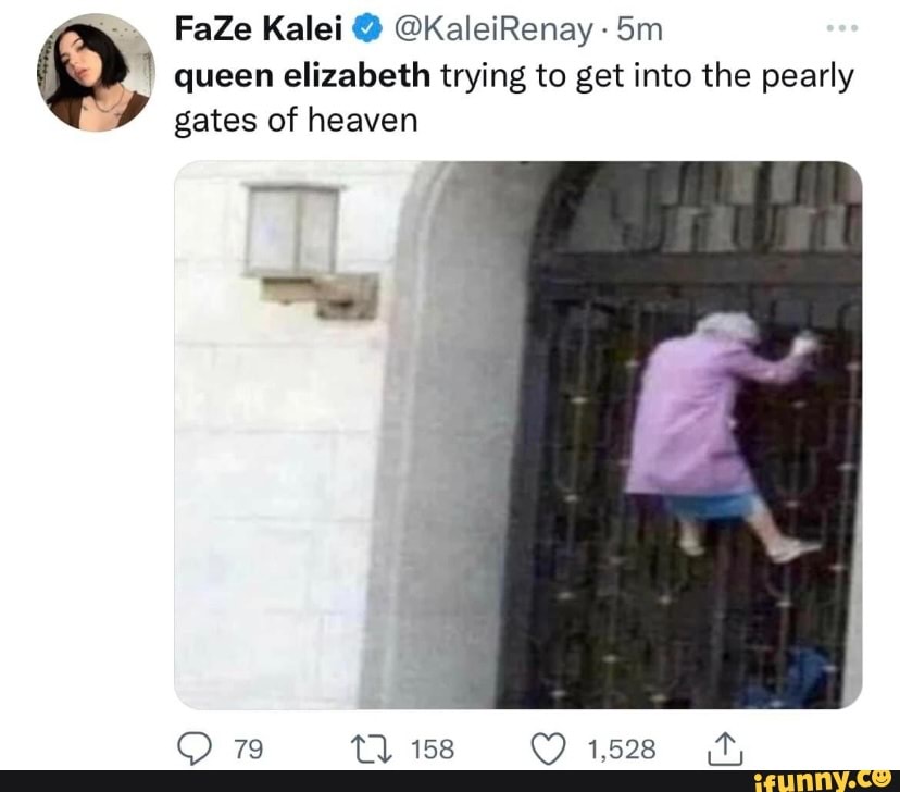 Kalei memes. Best Collection of funny Kalei pictures on iFunny