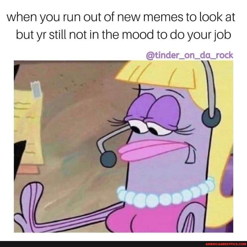 When you run out of new memes to look at but yr still not in the mood ...
