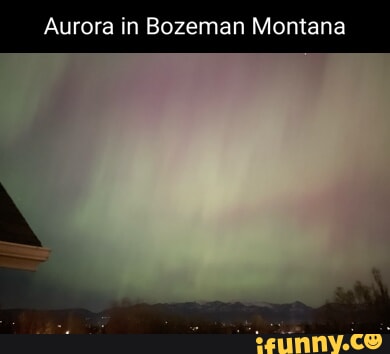 Bozeman memes. Best Collection of funny Bozeman pictures on iFunny