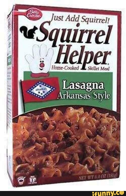 _Just Add d Squirrel! He Cooked Skallet Med Lasagna - iFunny