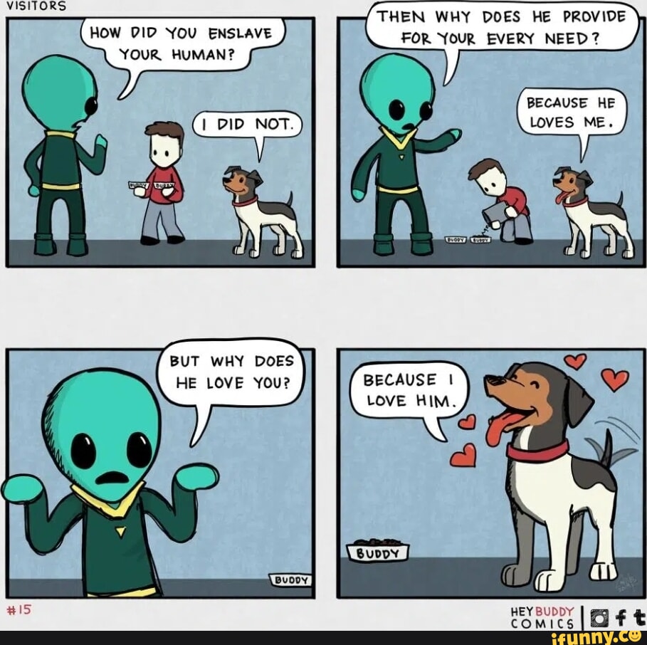 Visitors memes. Best Collection of funny Visitors pictures on iFunny