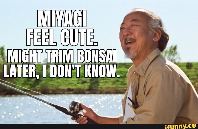 Trim memes. Best Collection of funny Trim pictures on iFunny