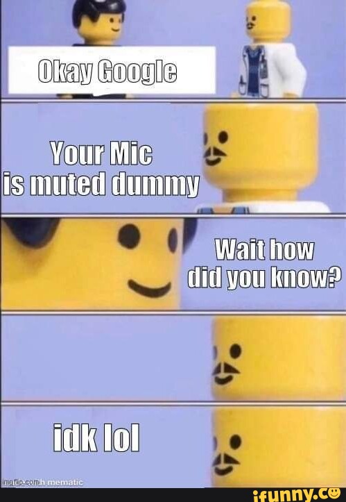 Your Mic is muted dummy Wait how did you know? idk tol - iFunny