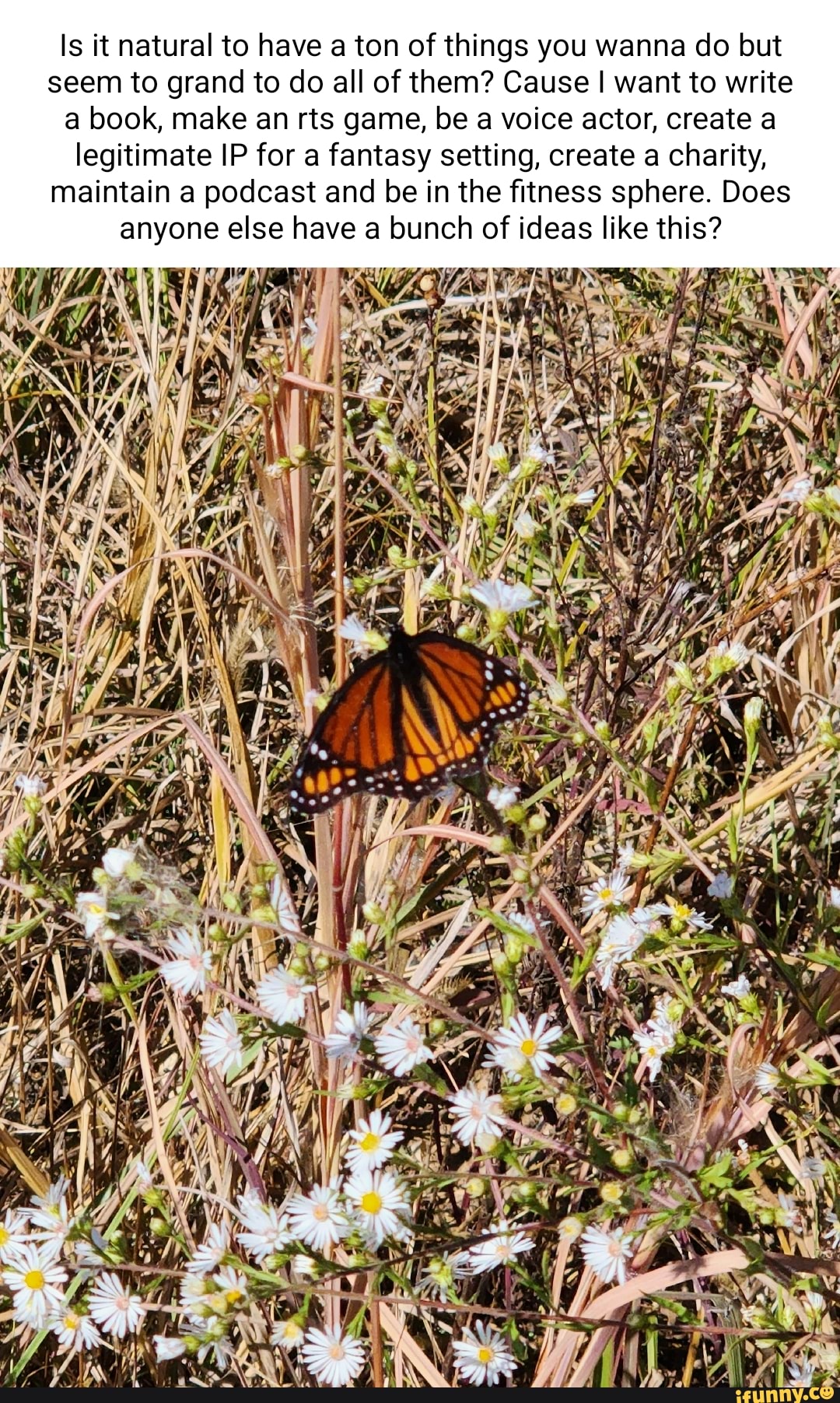 Rts memes. Best Collection of funny Rts pictures on iFunny