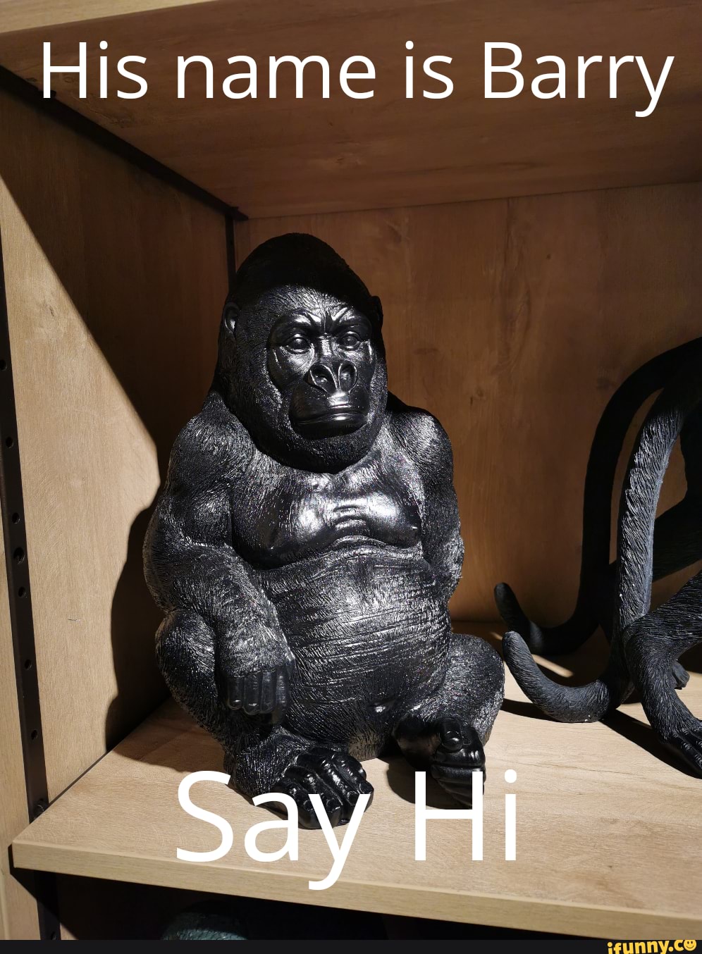 His name is Barry Say Hi - iFunny