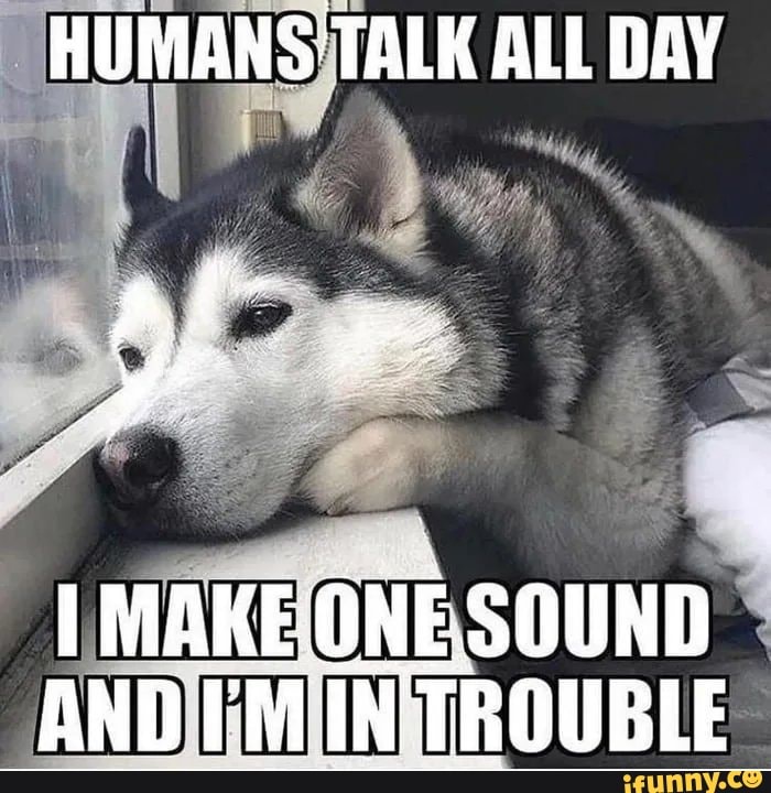 Humans memes. Best Collection of funny Humans pictures on iFunny