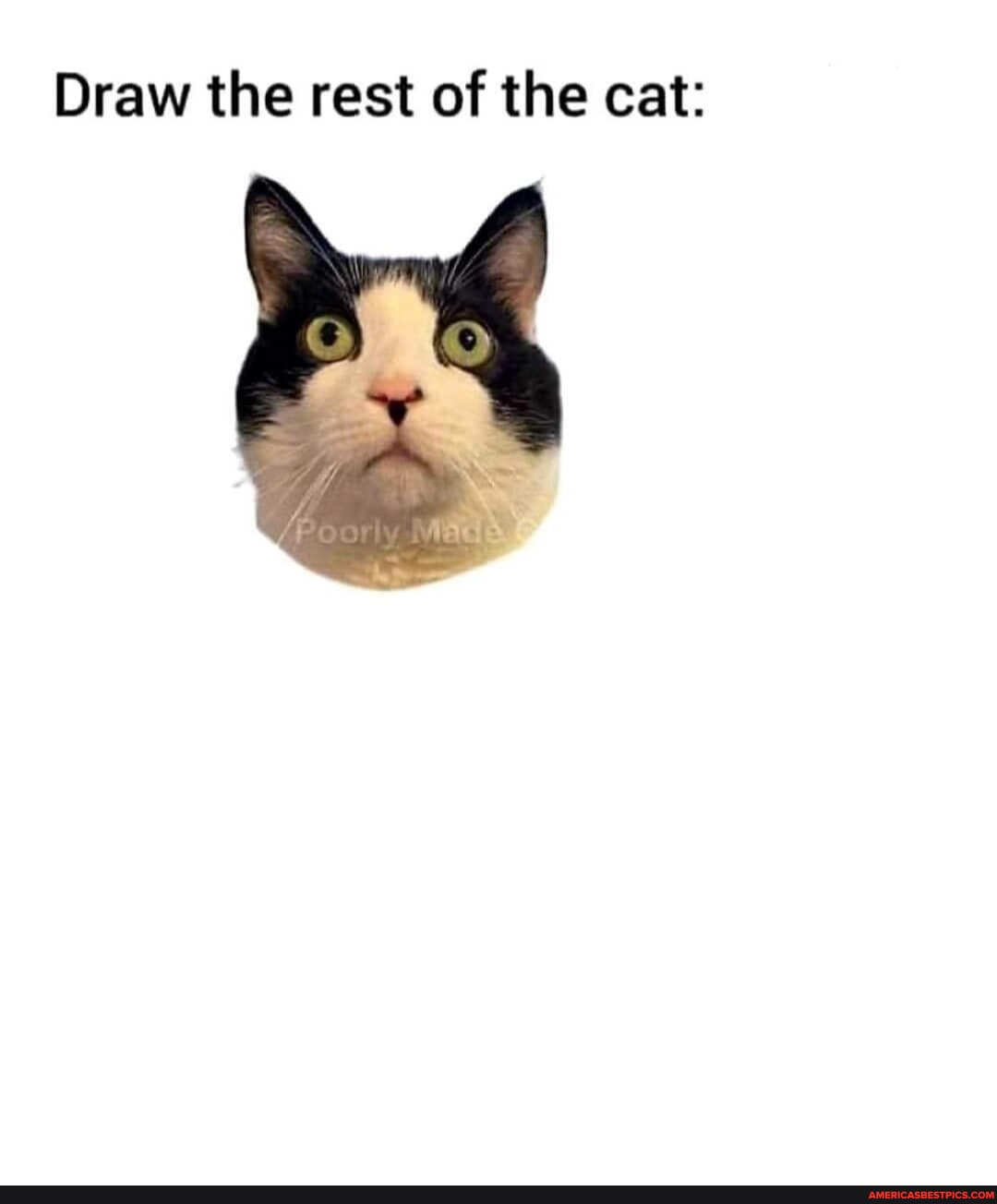 Draw the rest of the cat: - America’s best pics and videos