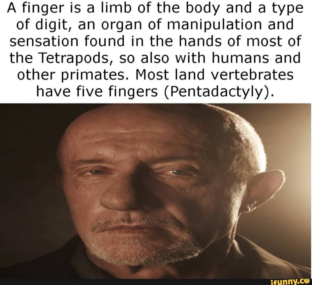 Tetrapods memes. Best Collection of funny Tetrapods pictures on iFunny