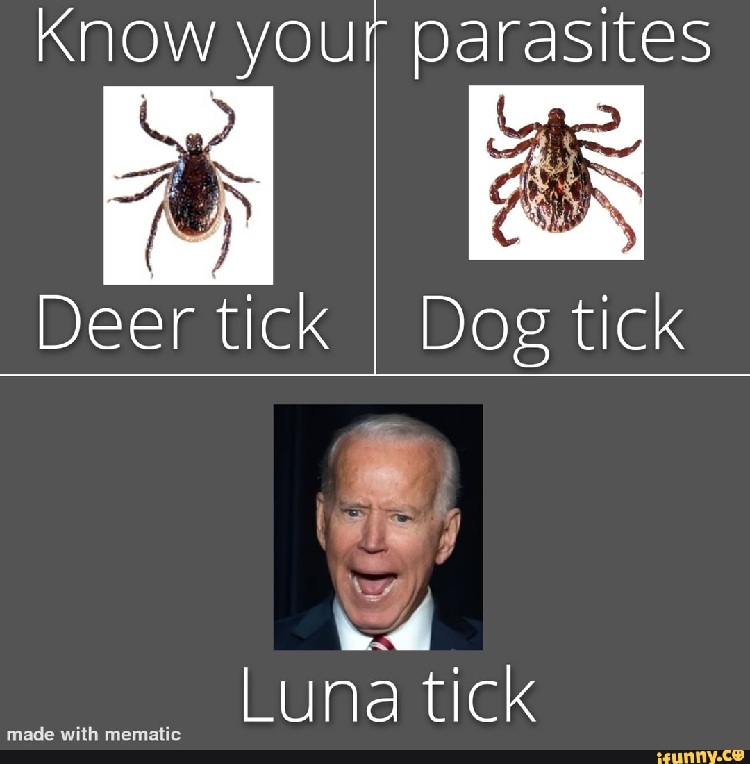 Know your parasites Deer tick Dog tic Luna tick - iFunny