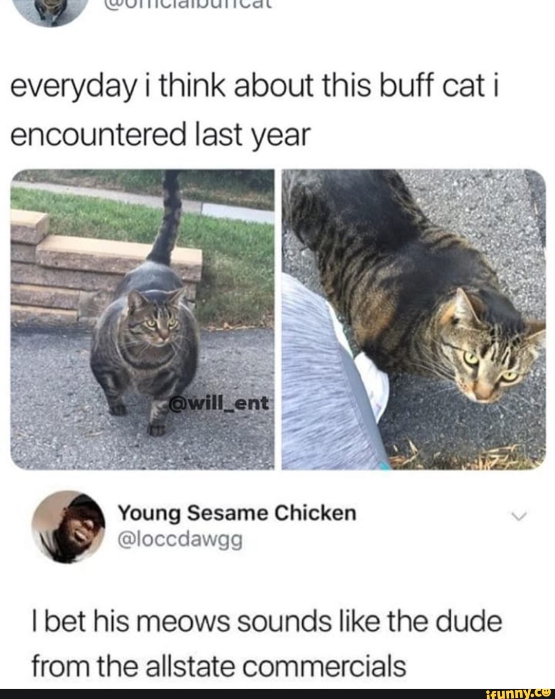 Video memes ic3DEJgZ6 by Dream0fMemes: 2.1K comments - )