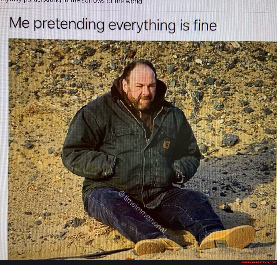 Me pretending everything is fine - America’s best pics and videos