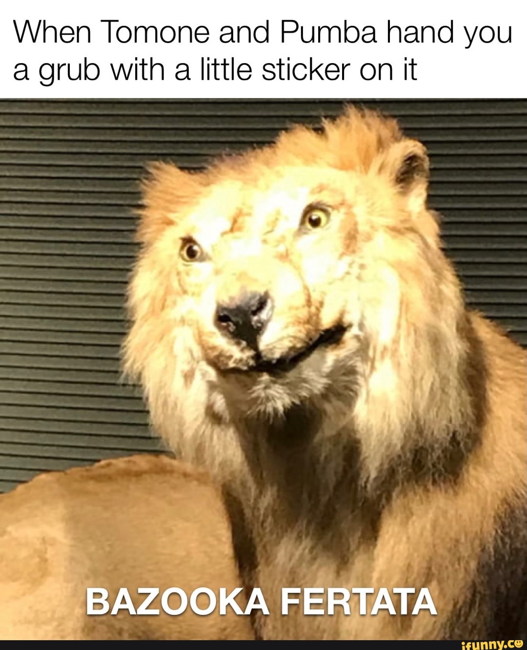 Pumba memes. Best Collection of funny Pumba pictures on iFunny