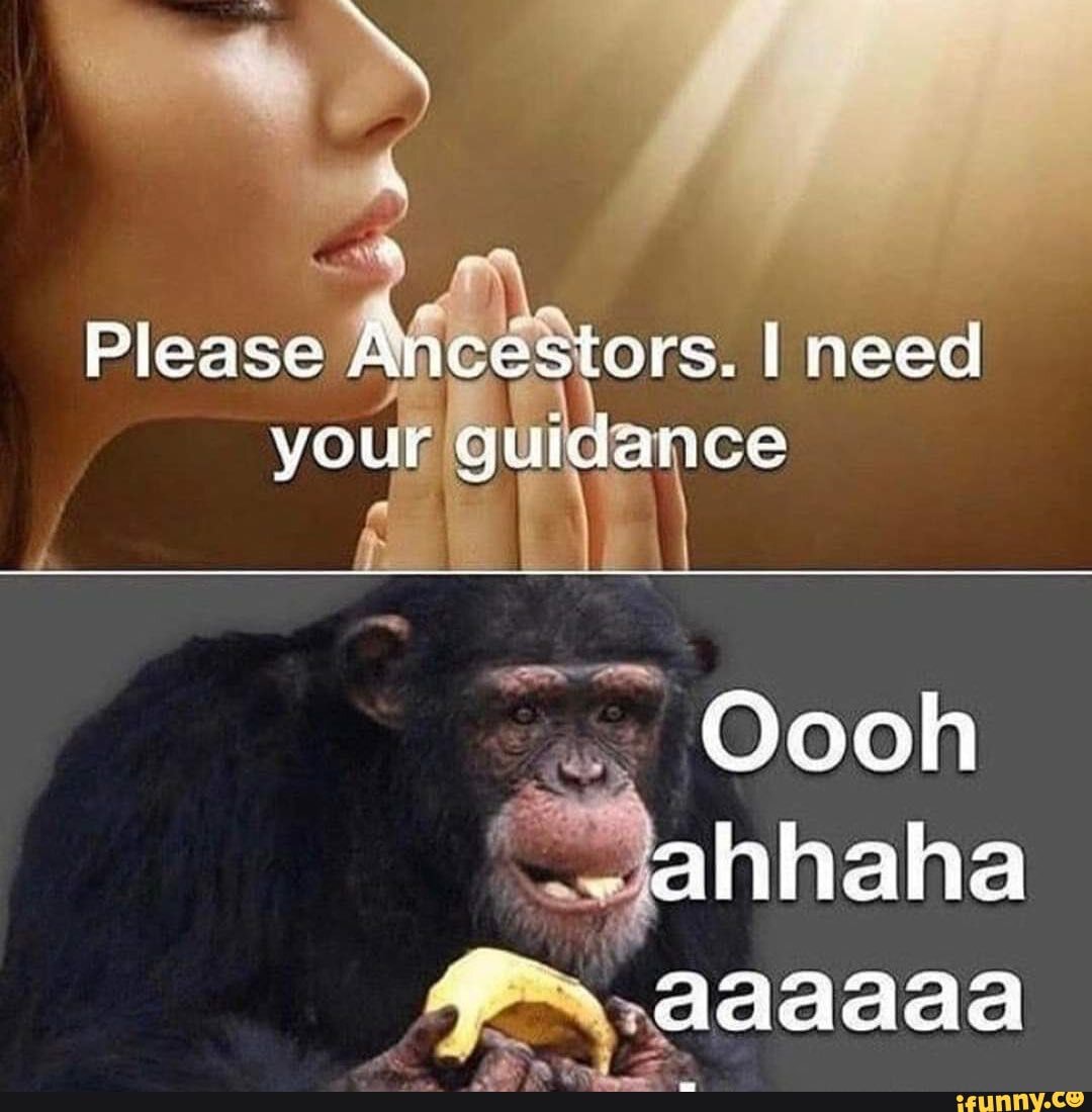 Gaaaaa memes. Best Collection of funny Gaaaaa pictures on iFunny