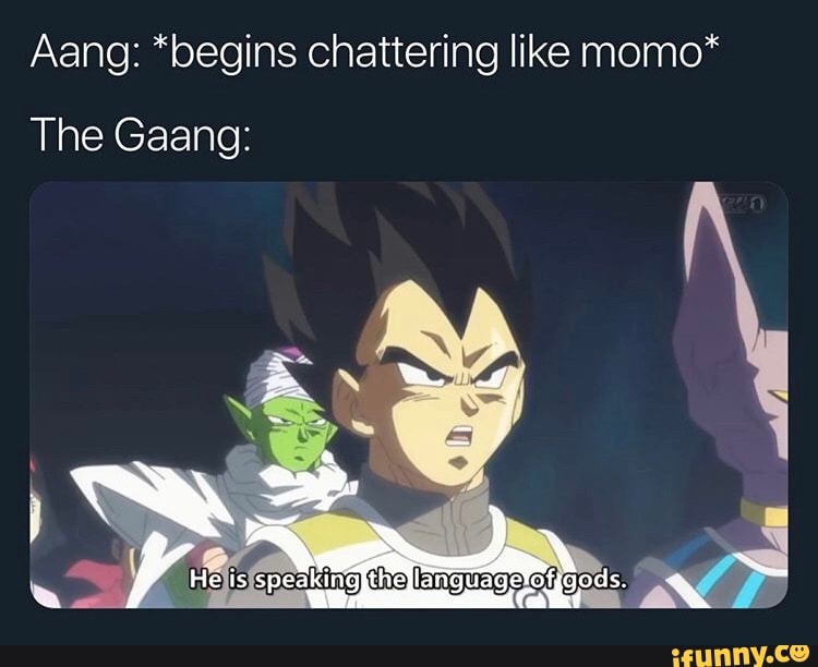 Aang: *begins chattering like momo* The Gaang: - iFunny