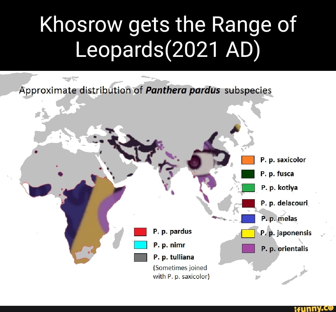 Khosrow gets the Range of AD) Approximate distribution of Panthera ...
