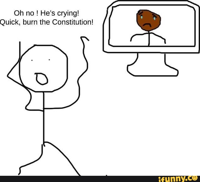 Oh no ! He's crying! Quick, burn the Constitution! - iFunny