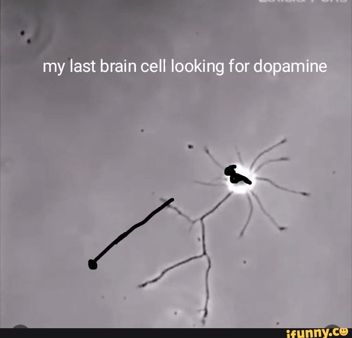 My last brain cell looking for dopamine - iFunny