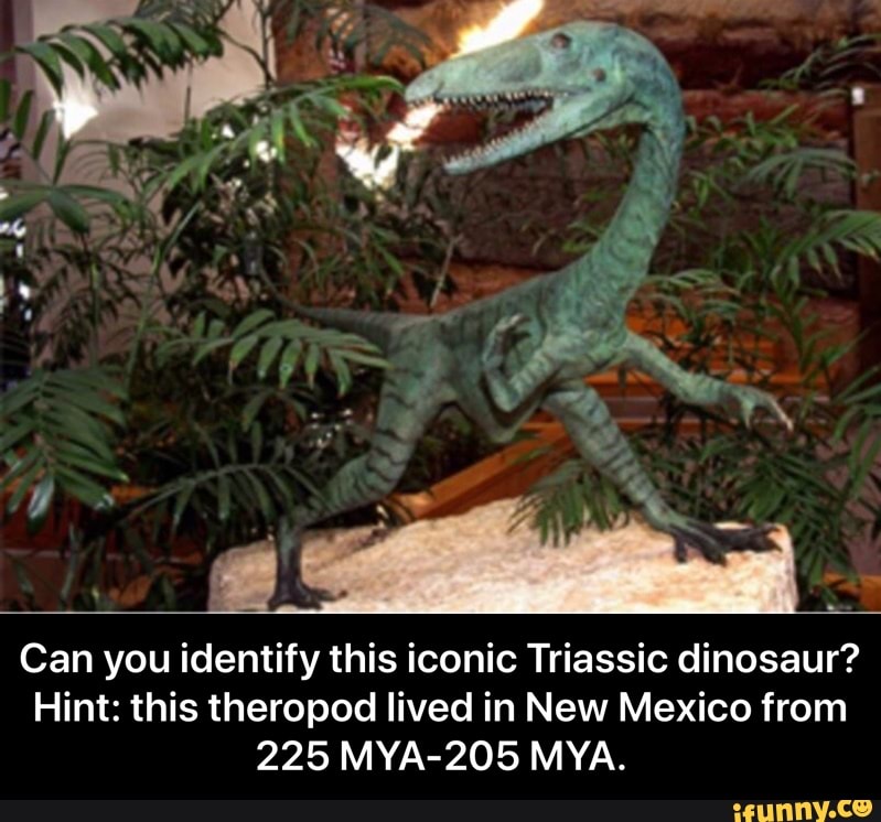 Can you identify this iconic Triassic dinosaur? Hint: this theropod ...