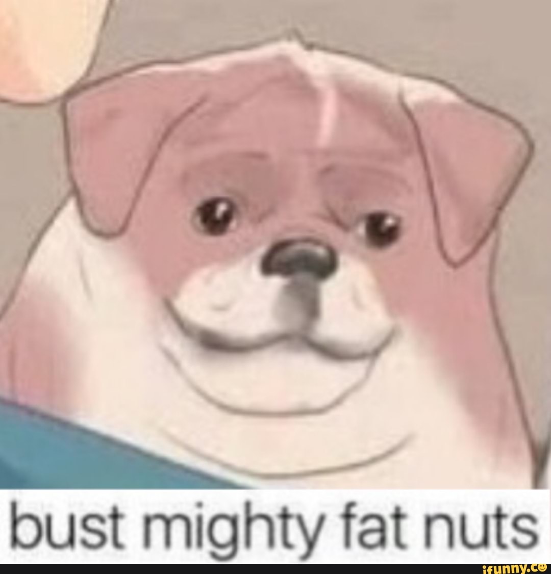 Bust mighty fat nuts - iFunny