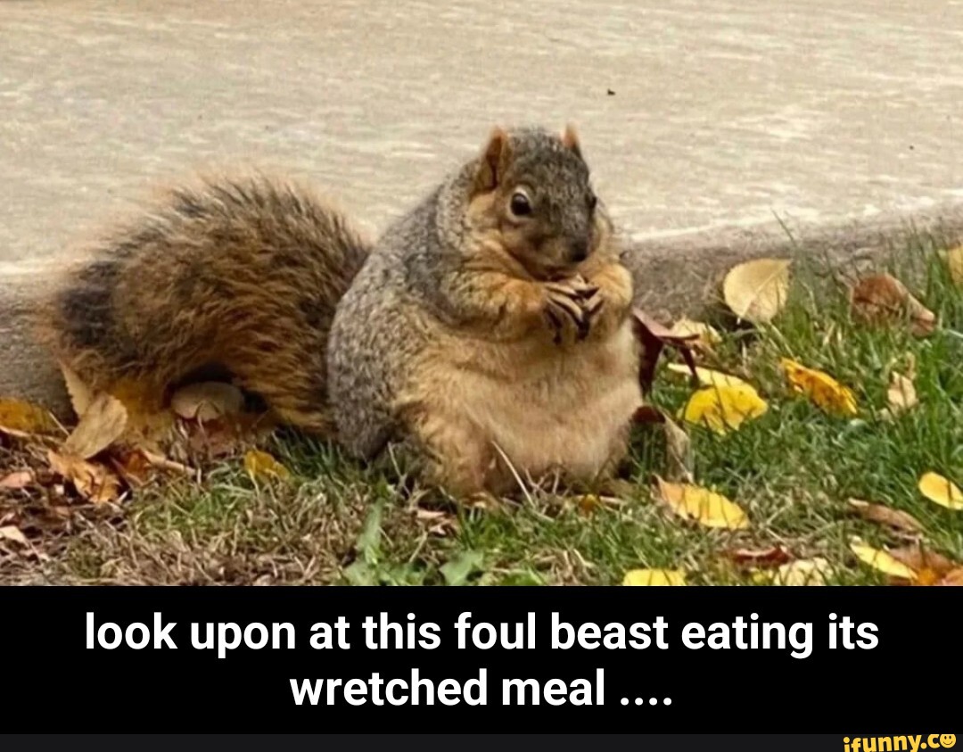 Journalists in the 1950s: 3 Journalist now: - iFunny