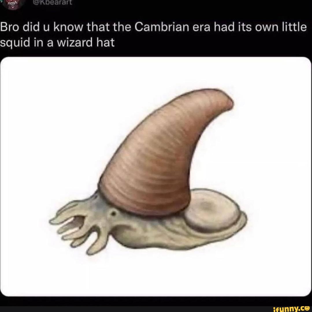 Squizard rule - Bro did u know that the Cambrian era had its own little ...