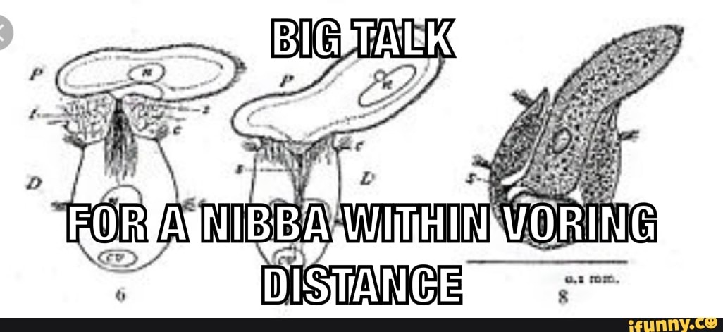 Protist memes. Best Collection of funny Protist pictures on iFunny