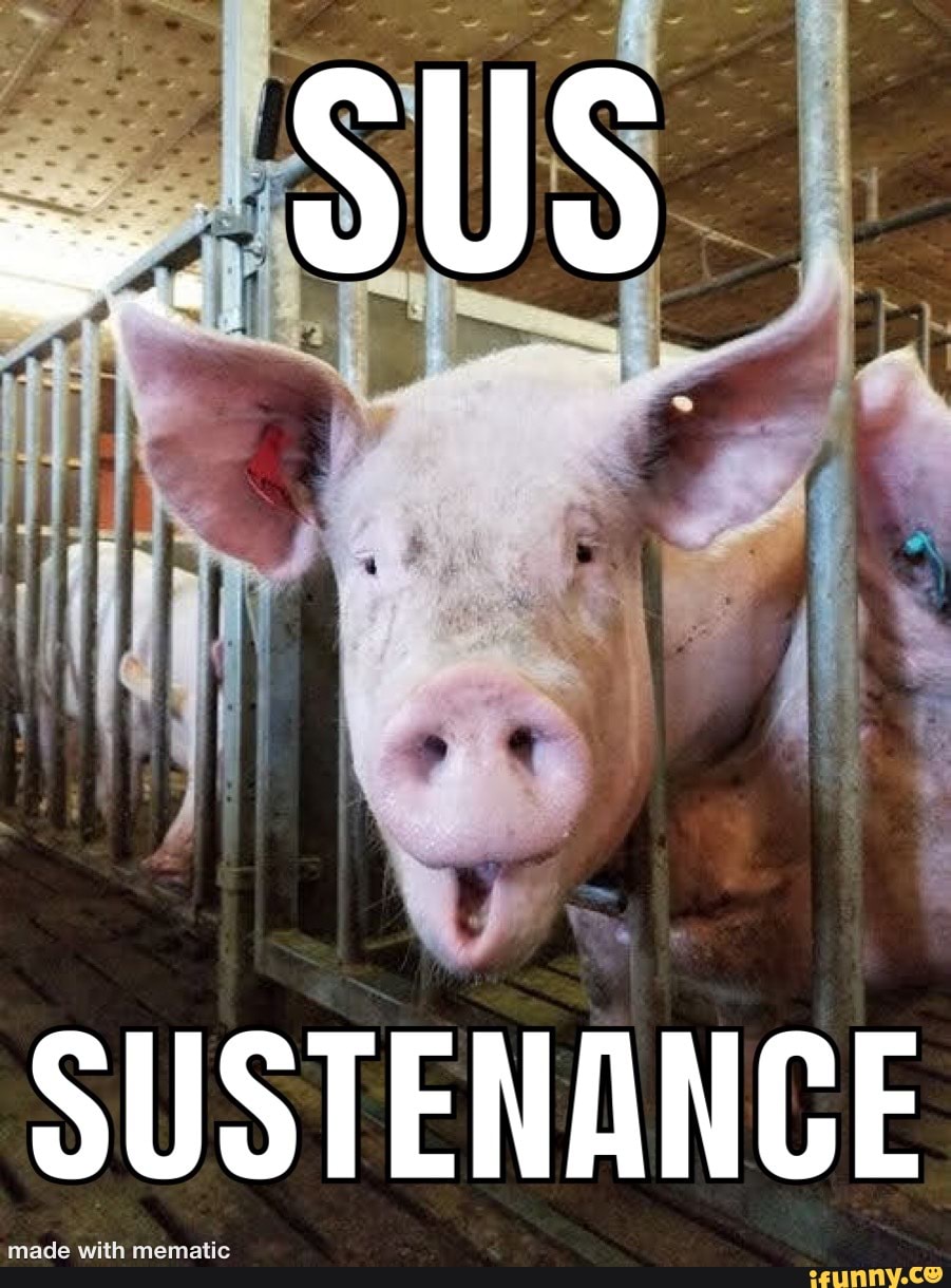 Sustanace memes. Best Collection of funny Sustanace pictures on iFunny