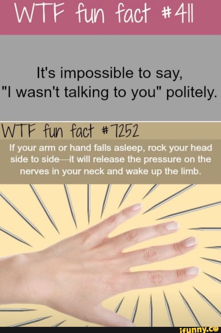 WT fun fact It's impossible to say, wasn't talking to you" politely ...