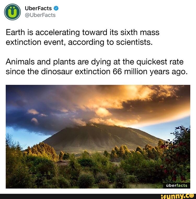 Earth is accelerating toward its sixth mass extinction event, according ...