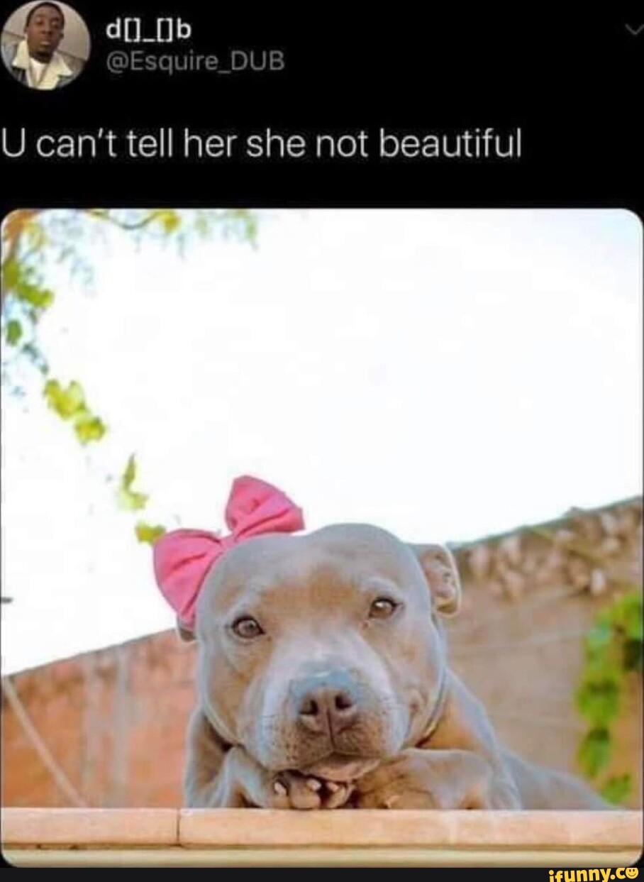 @Esquire DUB U can't tell her she not beautiful - iFunny