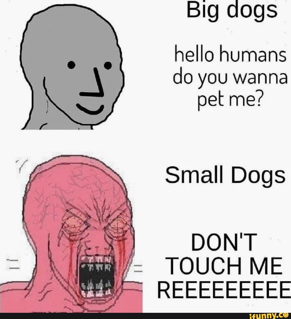Big dogs hello humans do you wanna pet me? Small Dogs DON'T TOUCH ME ...