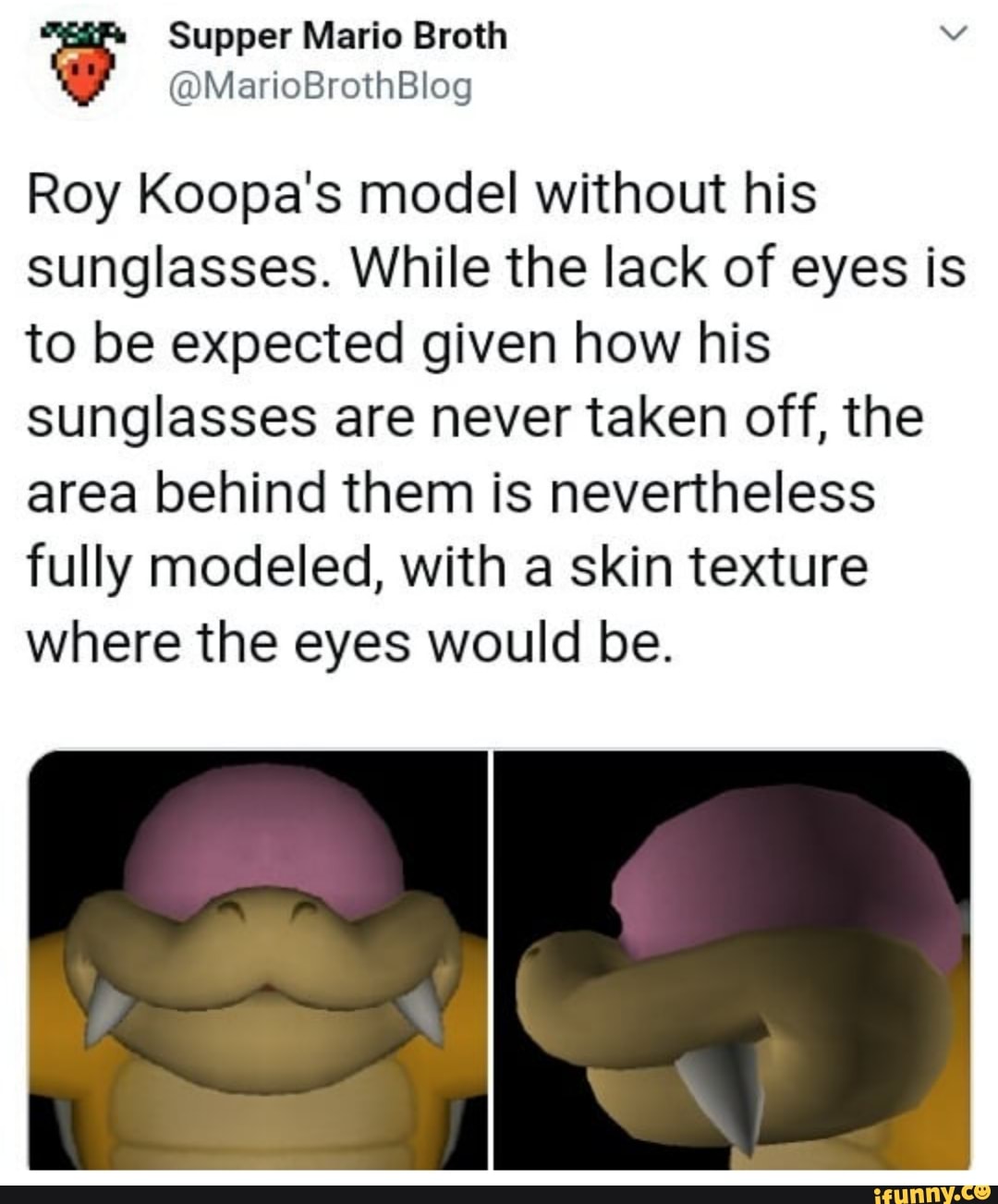 Roy Koopa's model without his sunglasses. While the lack of eyes is to ...